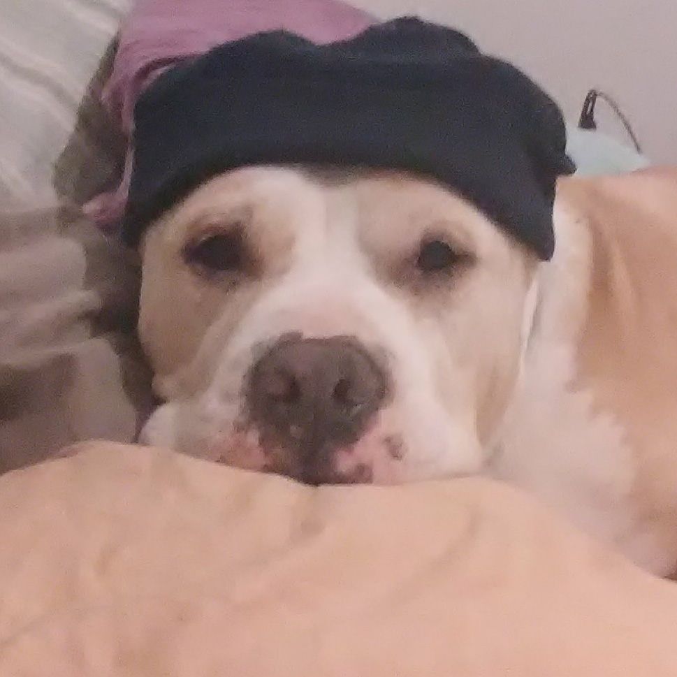 Just chilling | Scrolller