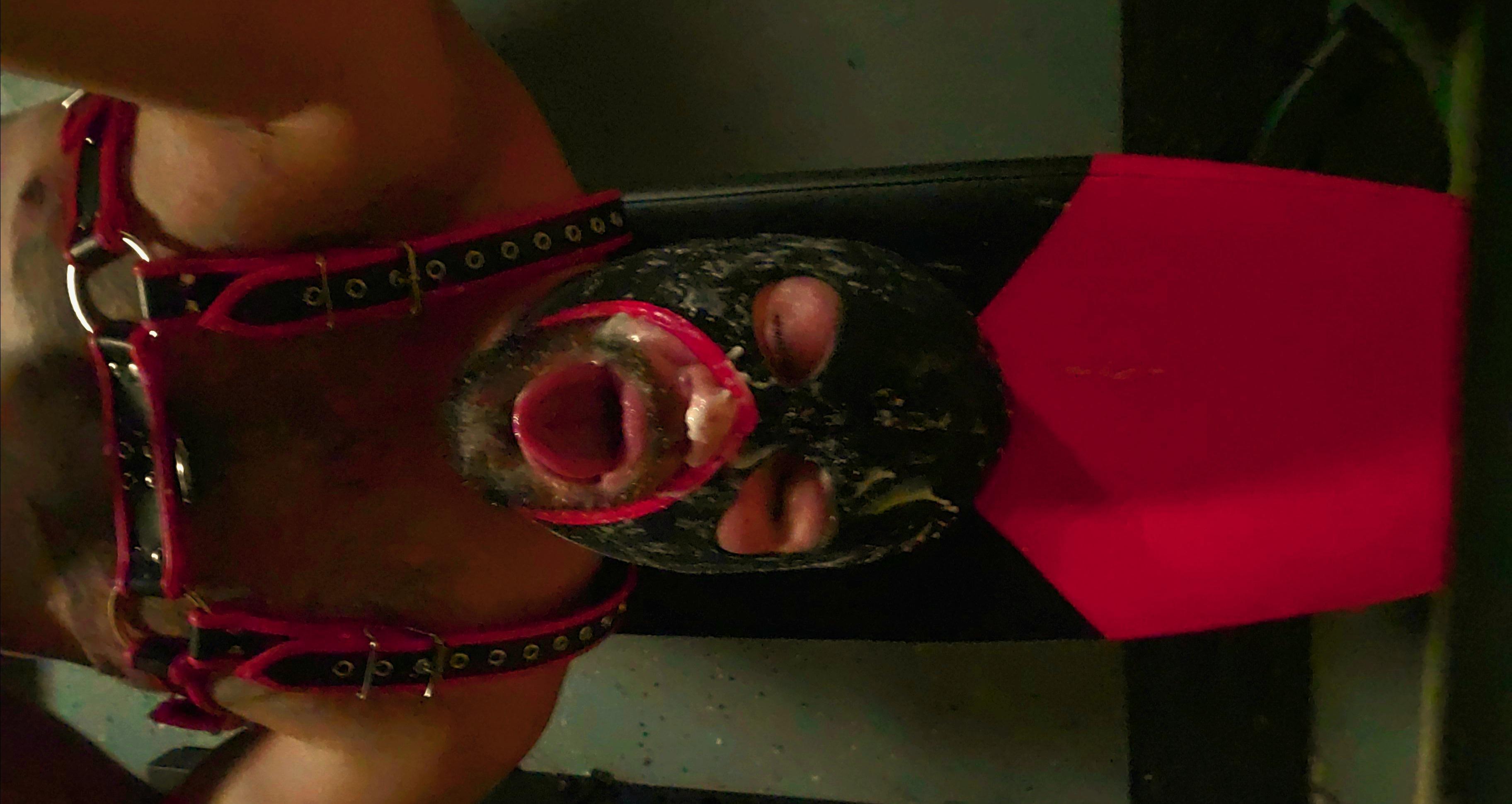 Just finished an open door anon bukkake gang bang. Highly recommend. | Scrolller