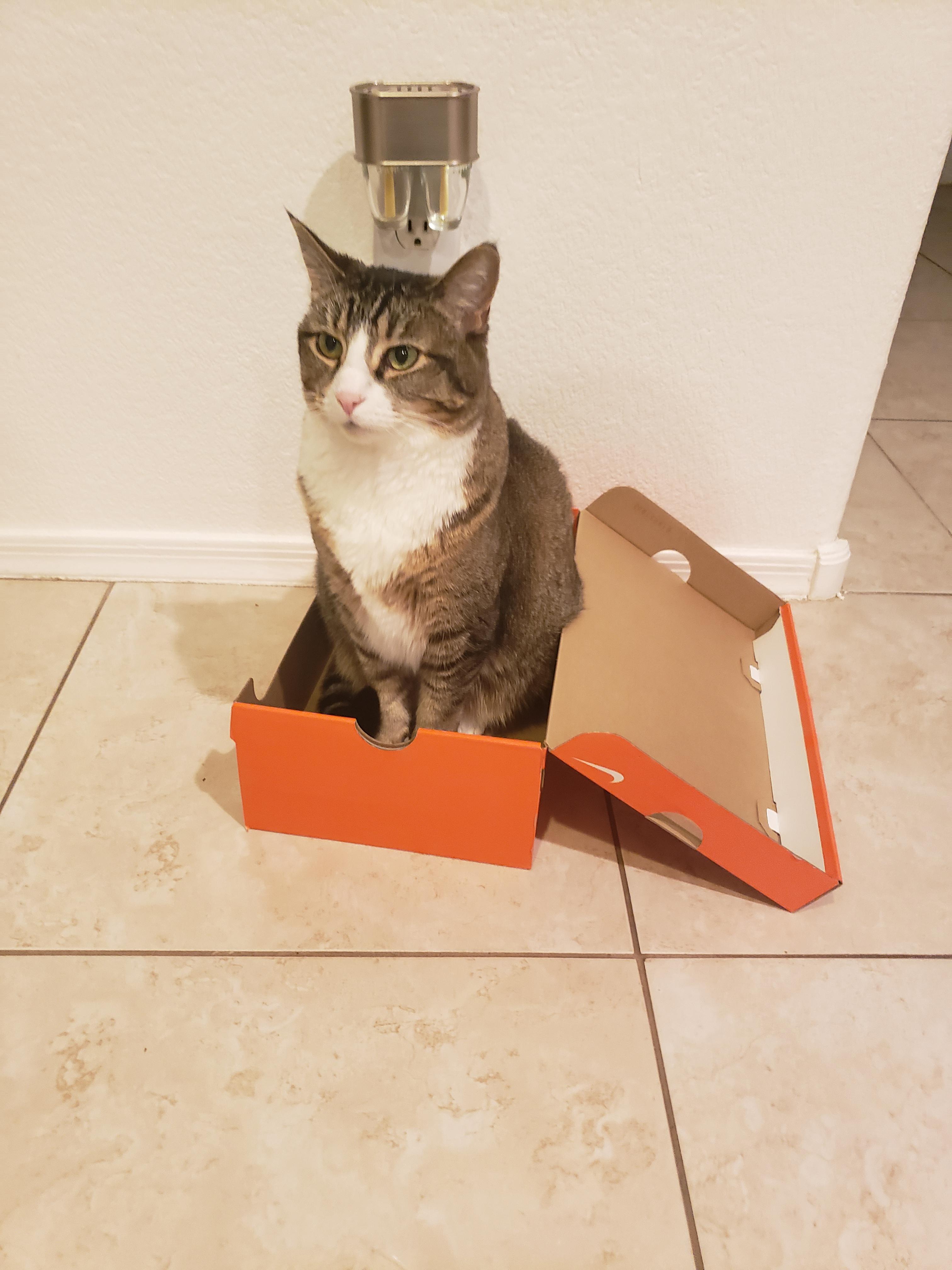 Just get trapped. | Scrolller