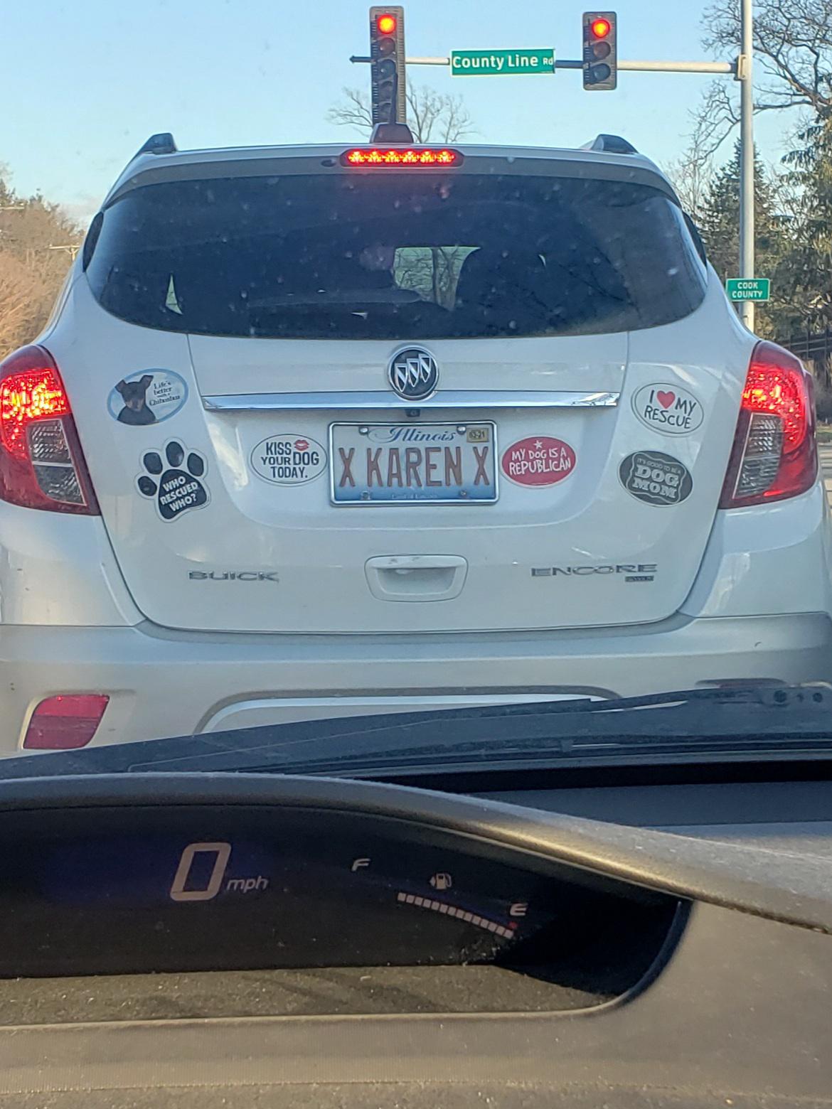 Just lean into it | Scrolller