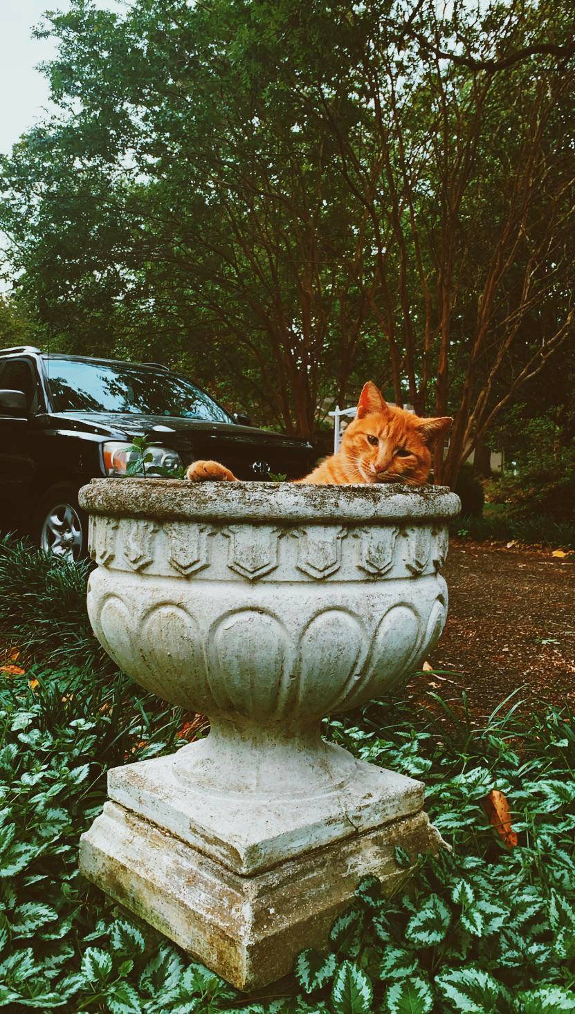 just look at her grow! | Scrolller