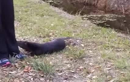 Just messing around | Scrolller