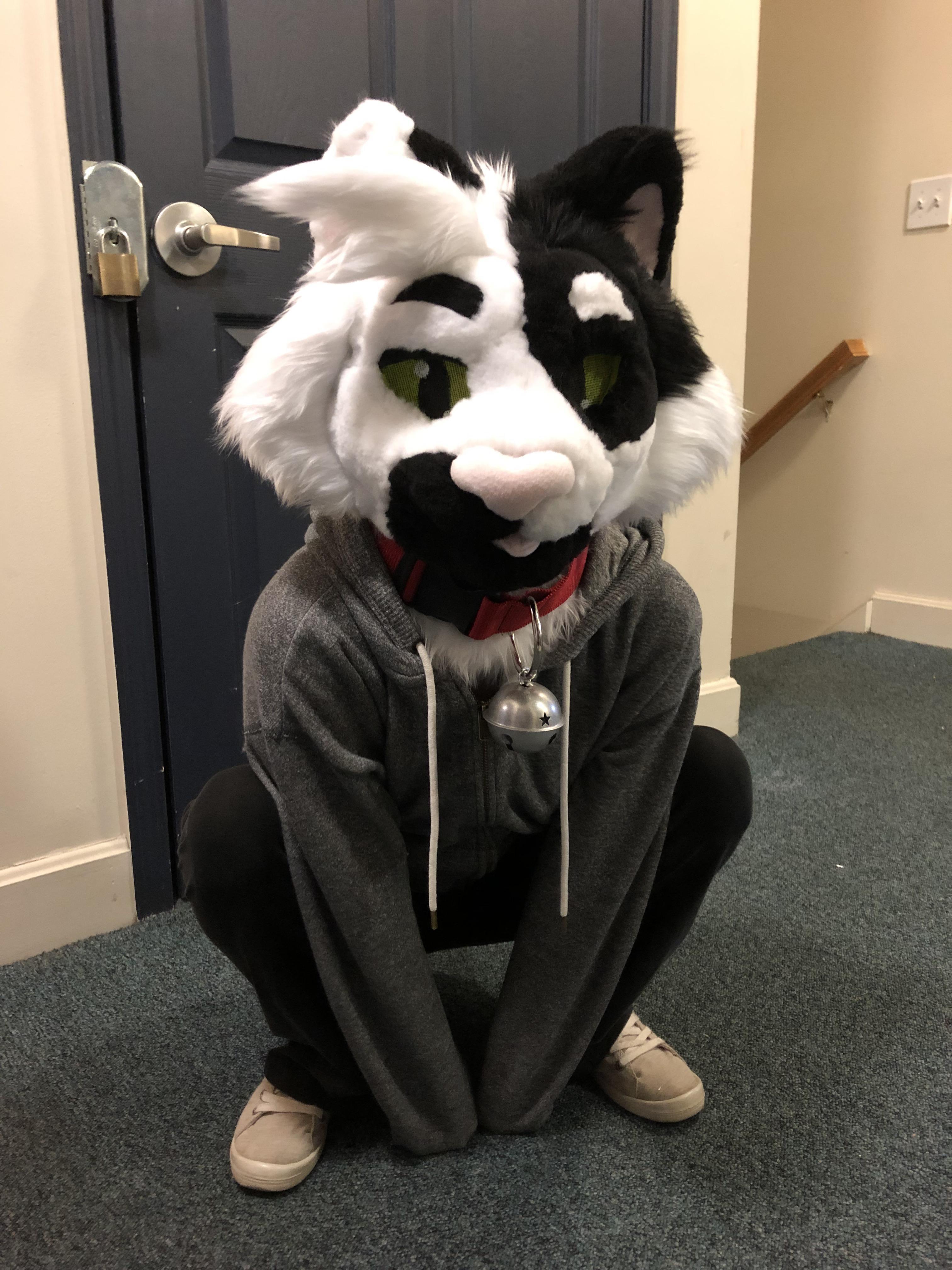 Just needs whiskers now!! | Scrolller