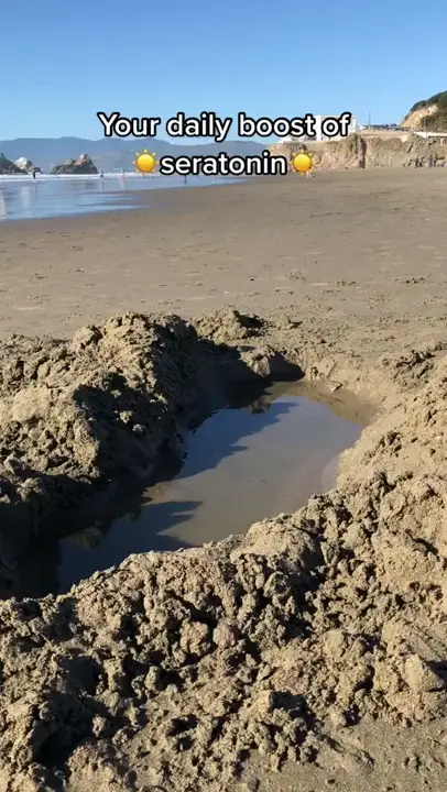 Just some beach tippy taps to brighten your day | Scrolller