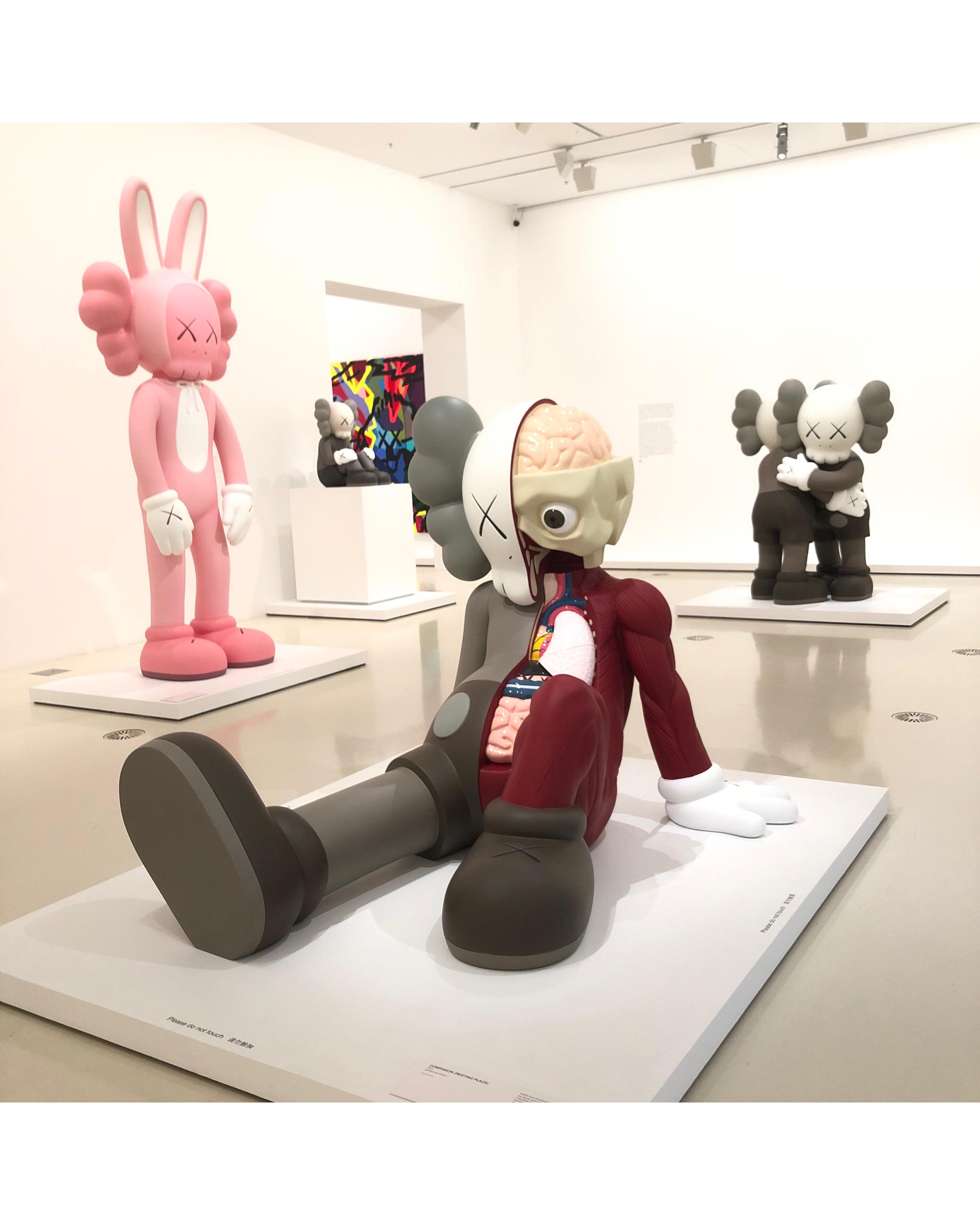 ”KAWS GONE” | Scrolller