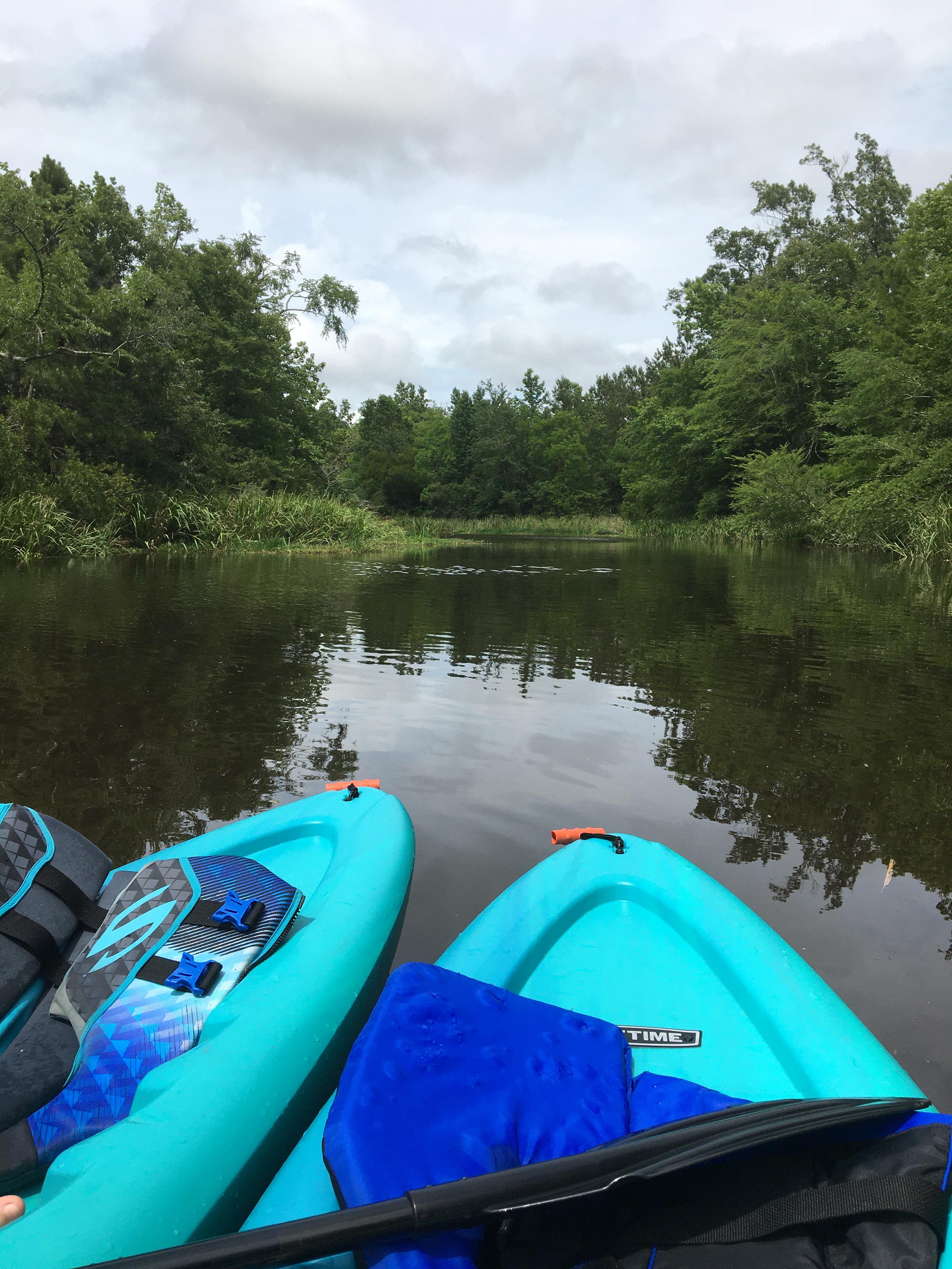 Kayaking in Bayou Cain | Scrolller