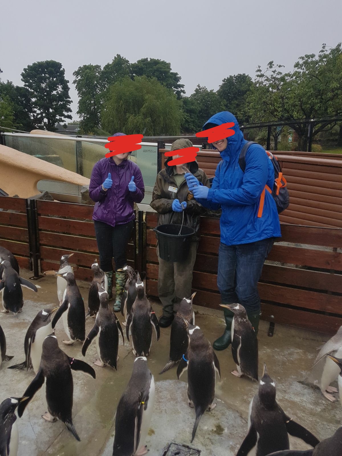 Keeper experience at Edinburgh Zoo! | Scrolller