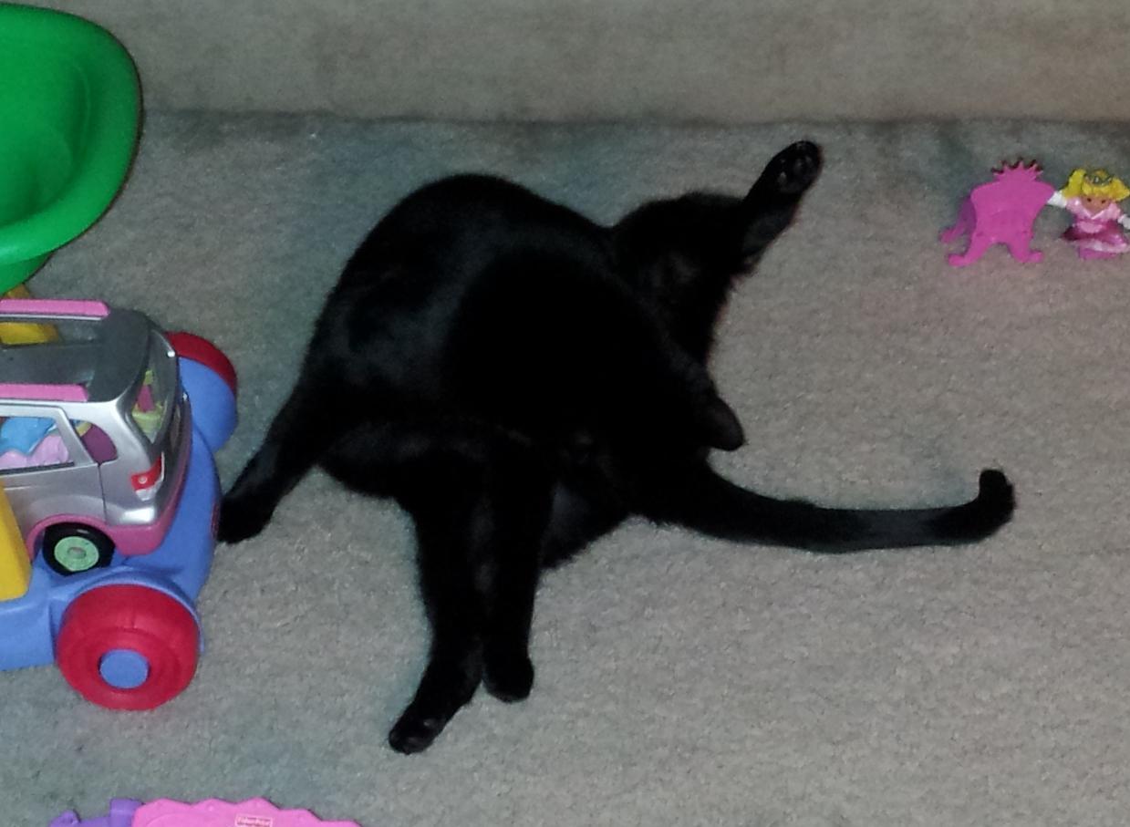 Keeping it clean | Scrolller