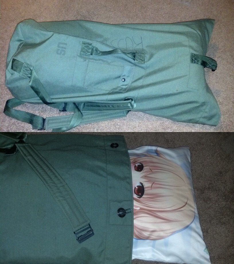 Keeping your waifu on the down low | Scrolller