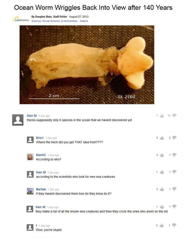 Ken M on Undiscovered Species | Scrolller