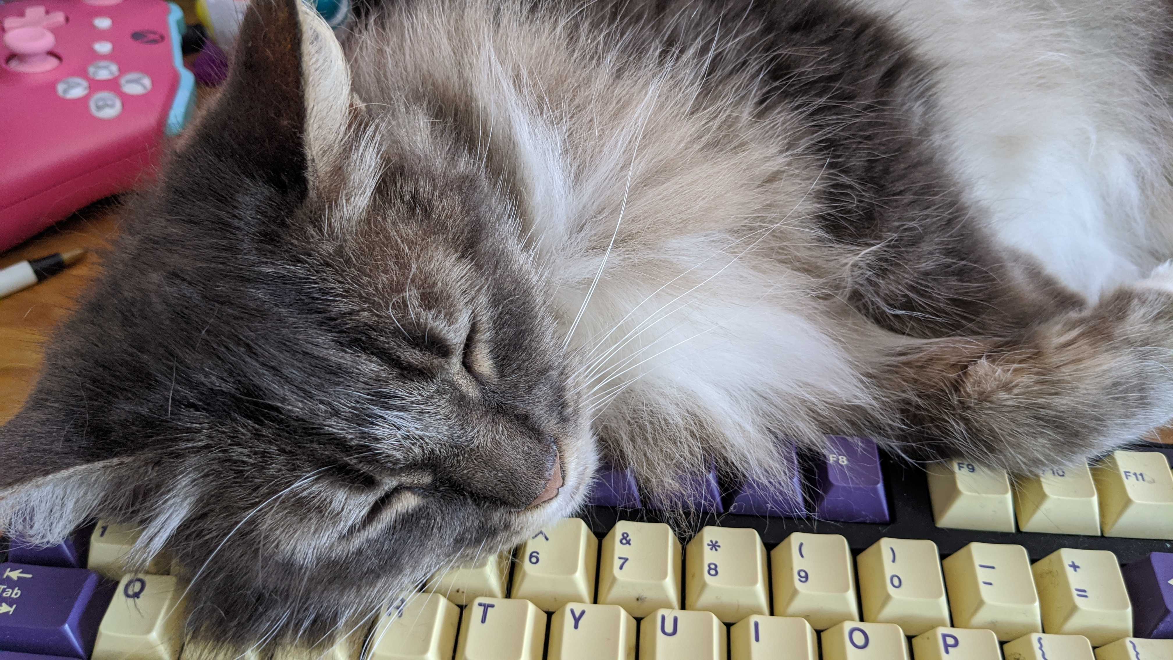 Keyboard pillow | Scrolller