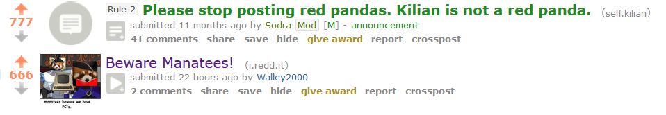 Kilian the satanic red panda destroys the manatee invasion, 2019 colourised. | Scrolller