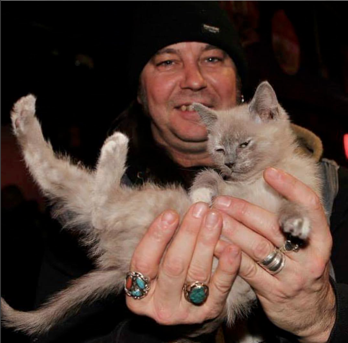 Kitten in Matt's hands looks super stoned | Scrolller