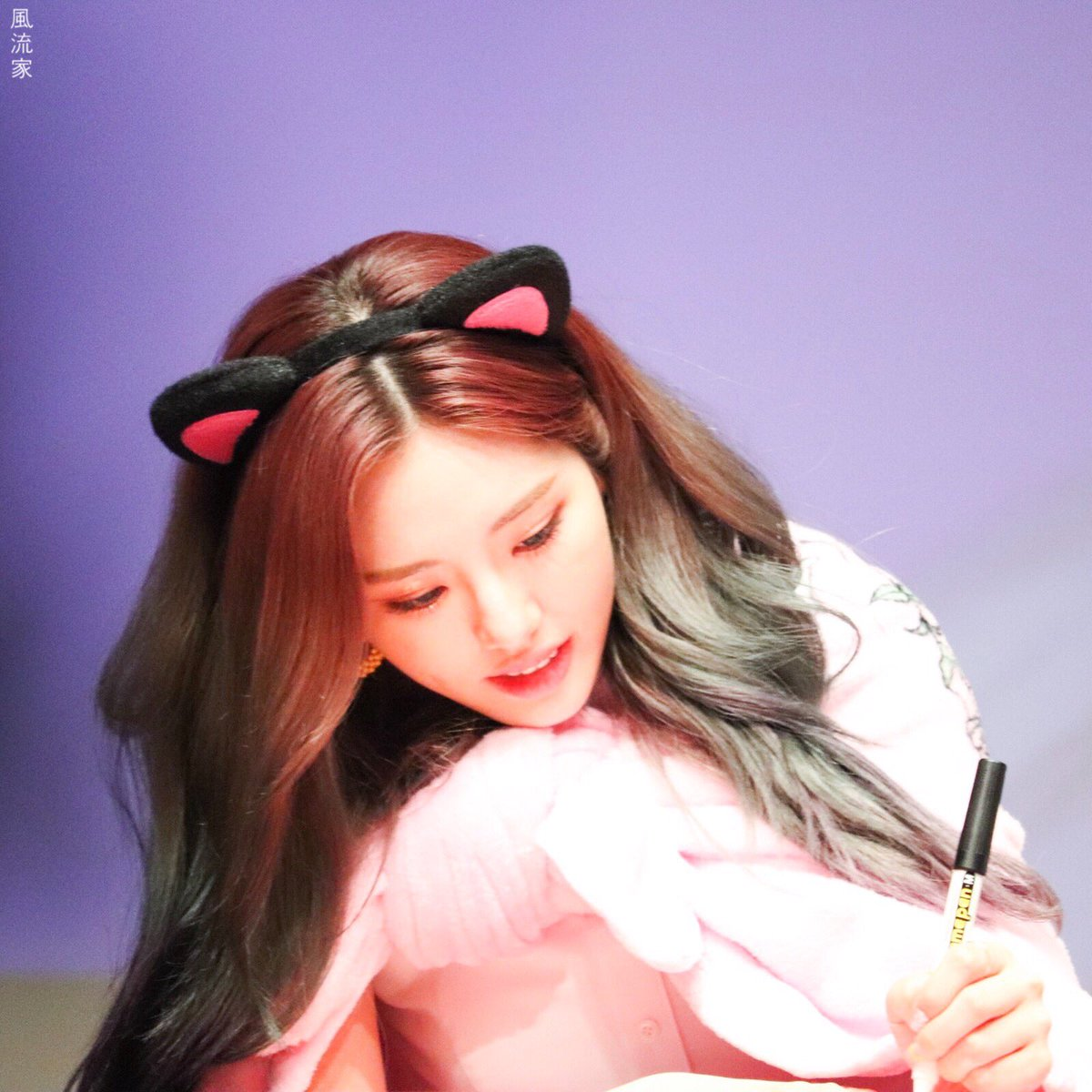 Kitten Jiwon | Scrolller