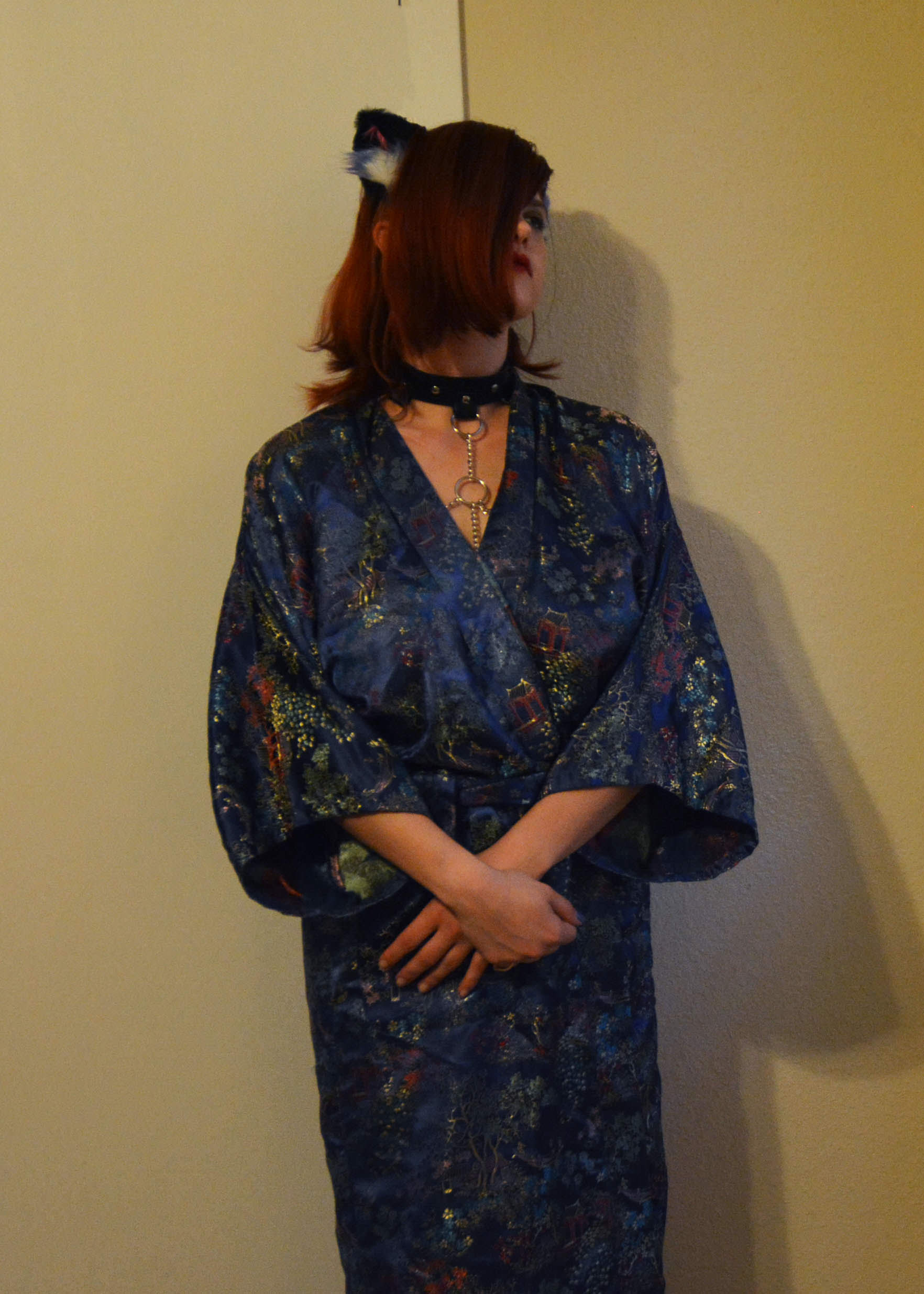 Kitten disrobing | Scrolller