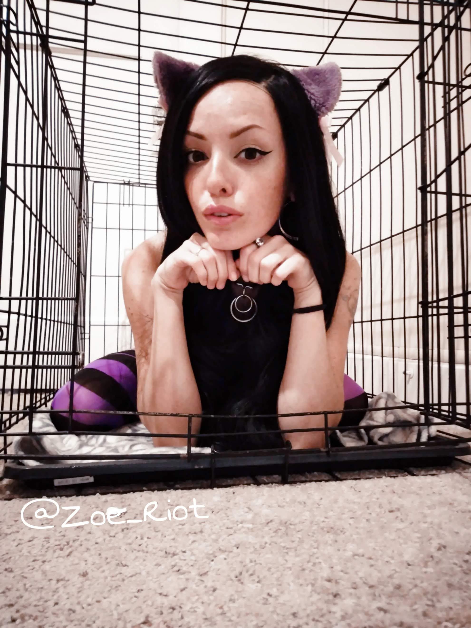 Kitty Got Into Trouble | Scrolller