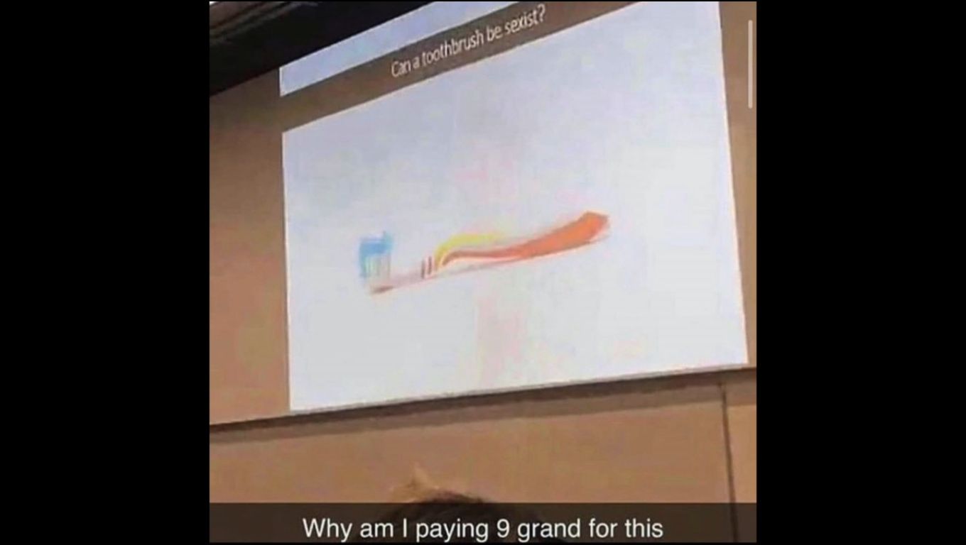 Knowledge | Scrolller