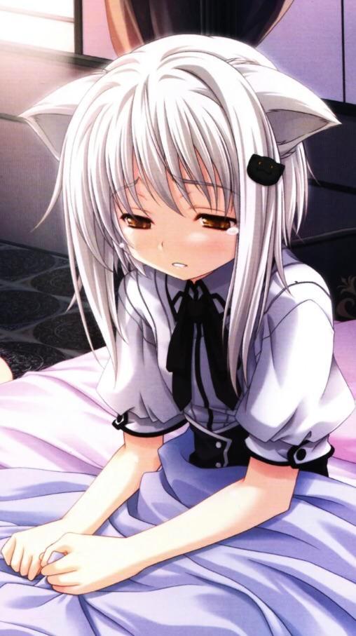 Koneko Toujou [High School DxD] | Scrolller