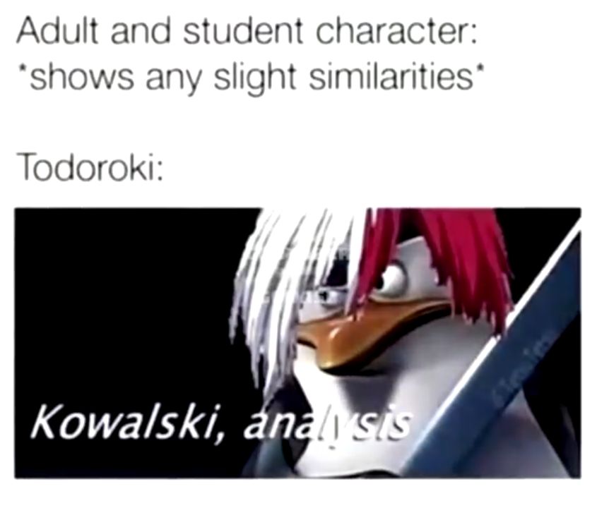 Kowalski, analysis | Scrolller