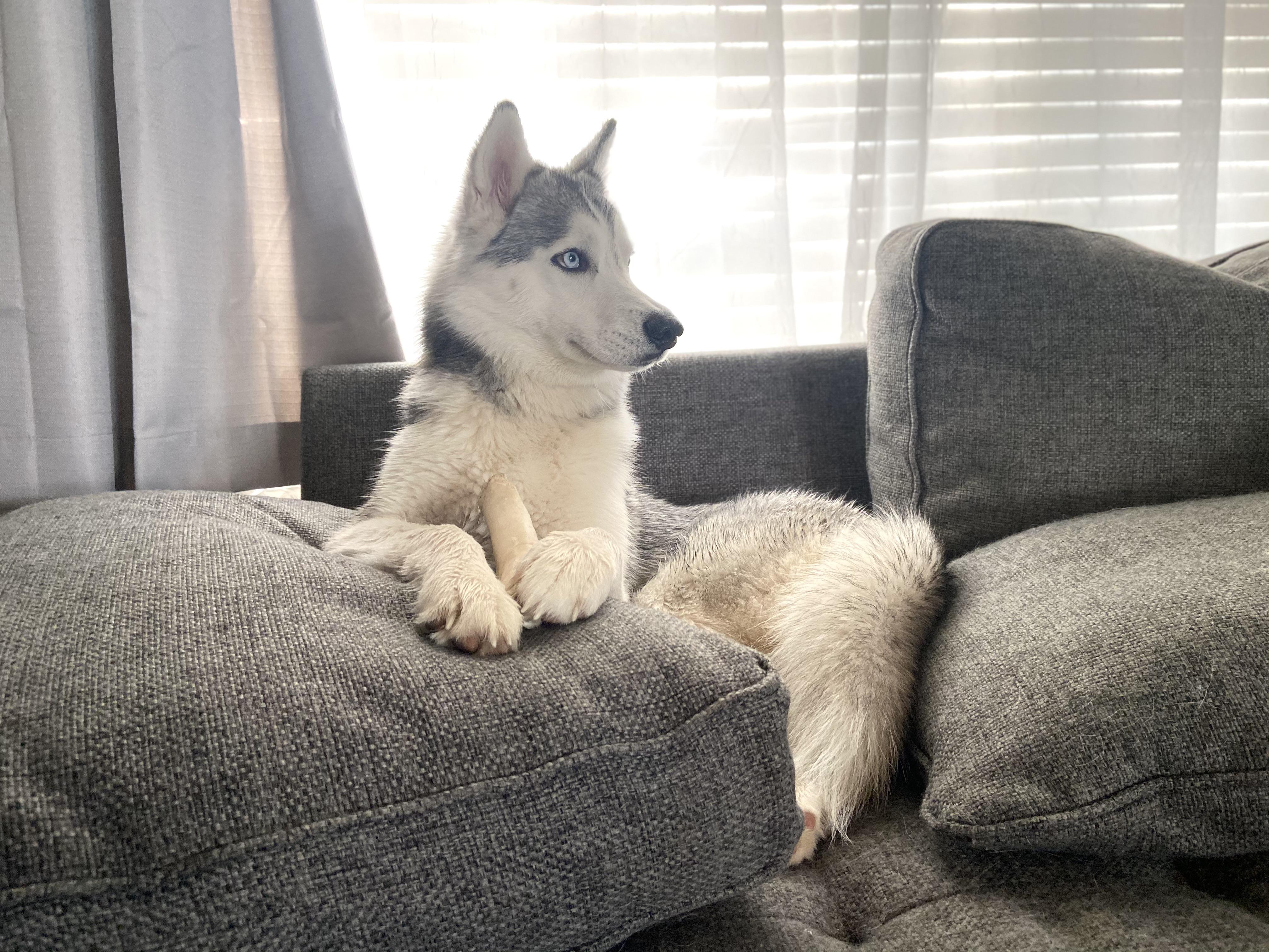 Kratos chillin on the couch | Scrolller