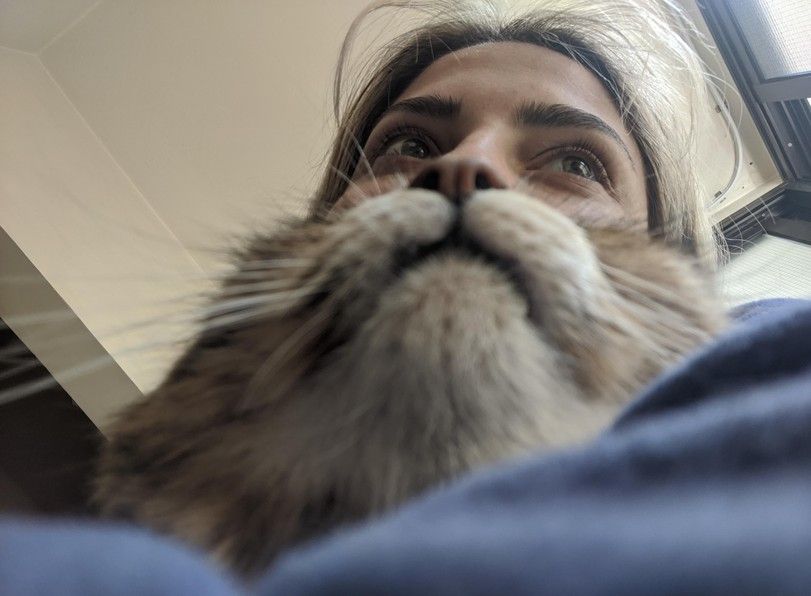 La admin tiene que hacer esto con el Estiven | Scrolller