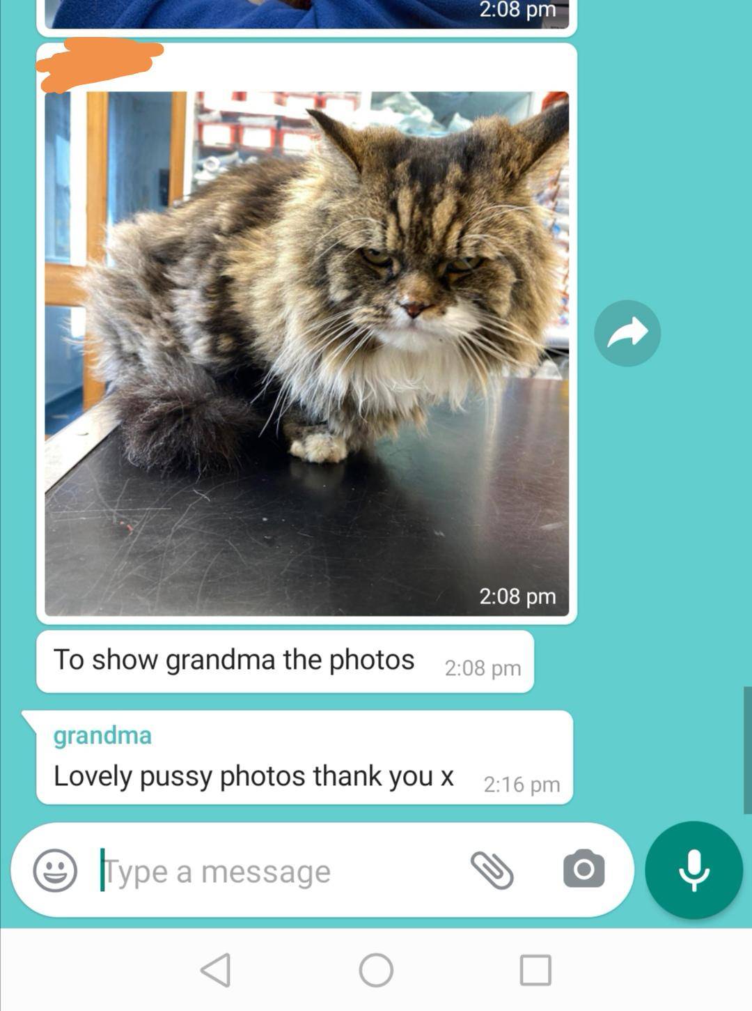 Ladies and gentlemen, my grandmother | Scrolller