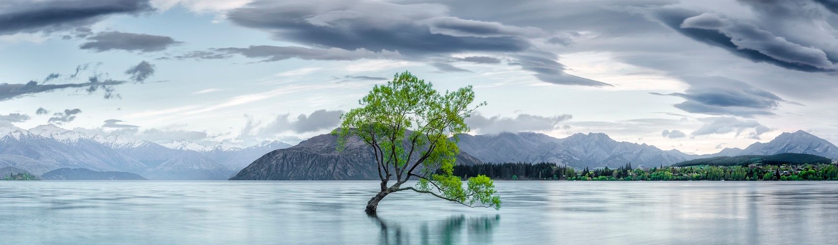 Lake Wanaka lonely willow tree. New Zealand: Photo: Timothy Poulton [1710 x 500] | Scrolller