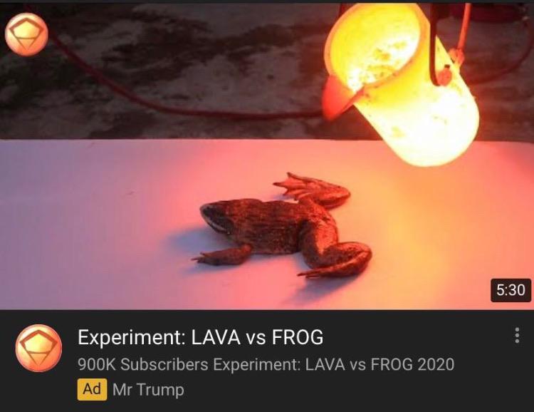 Lava vs frog | Scrolller