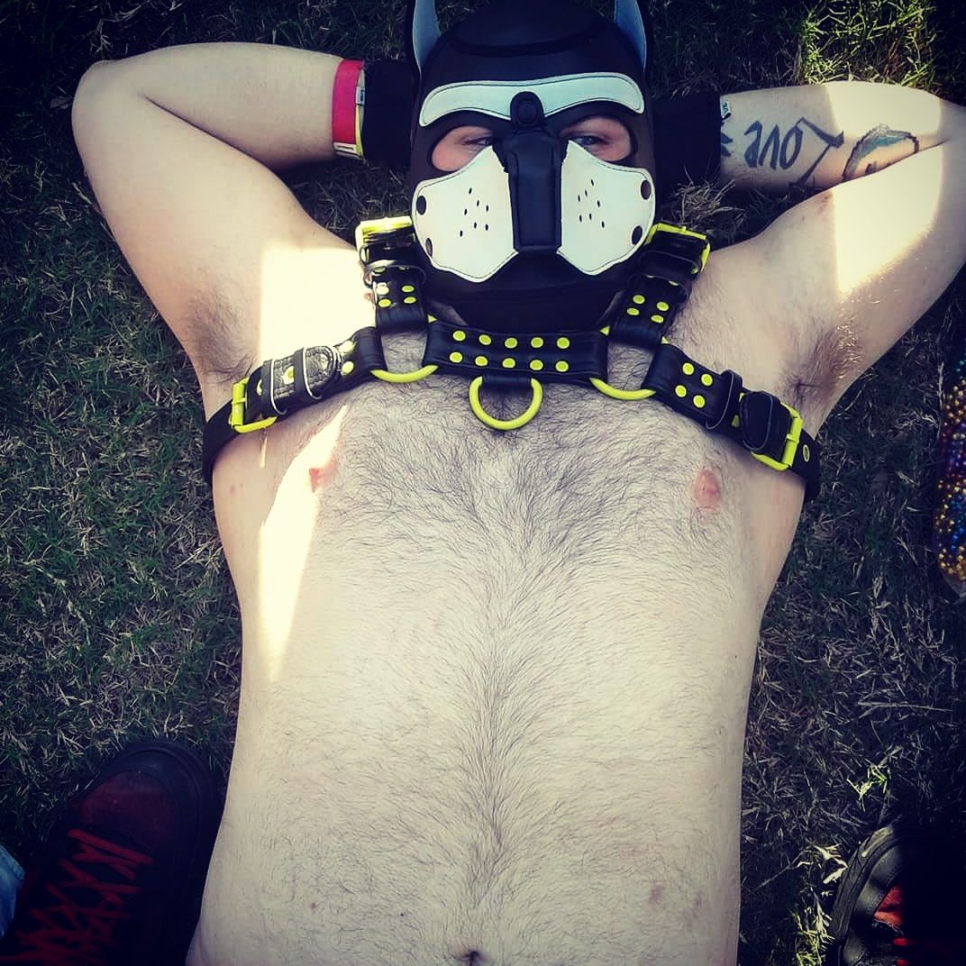 Laying in the grass | Scrolller