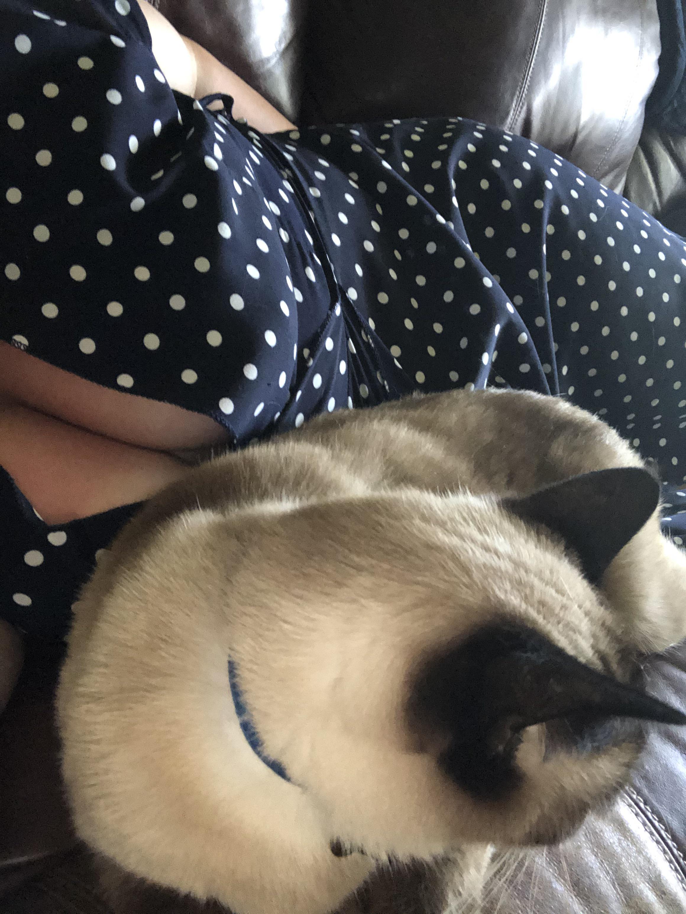 lazy afternoon | Scrolller