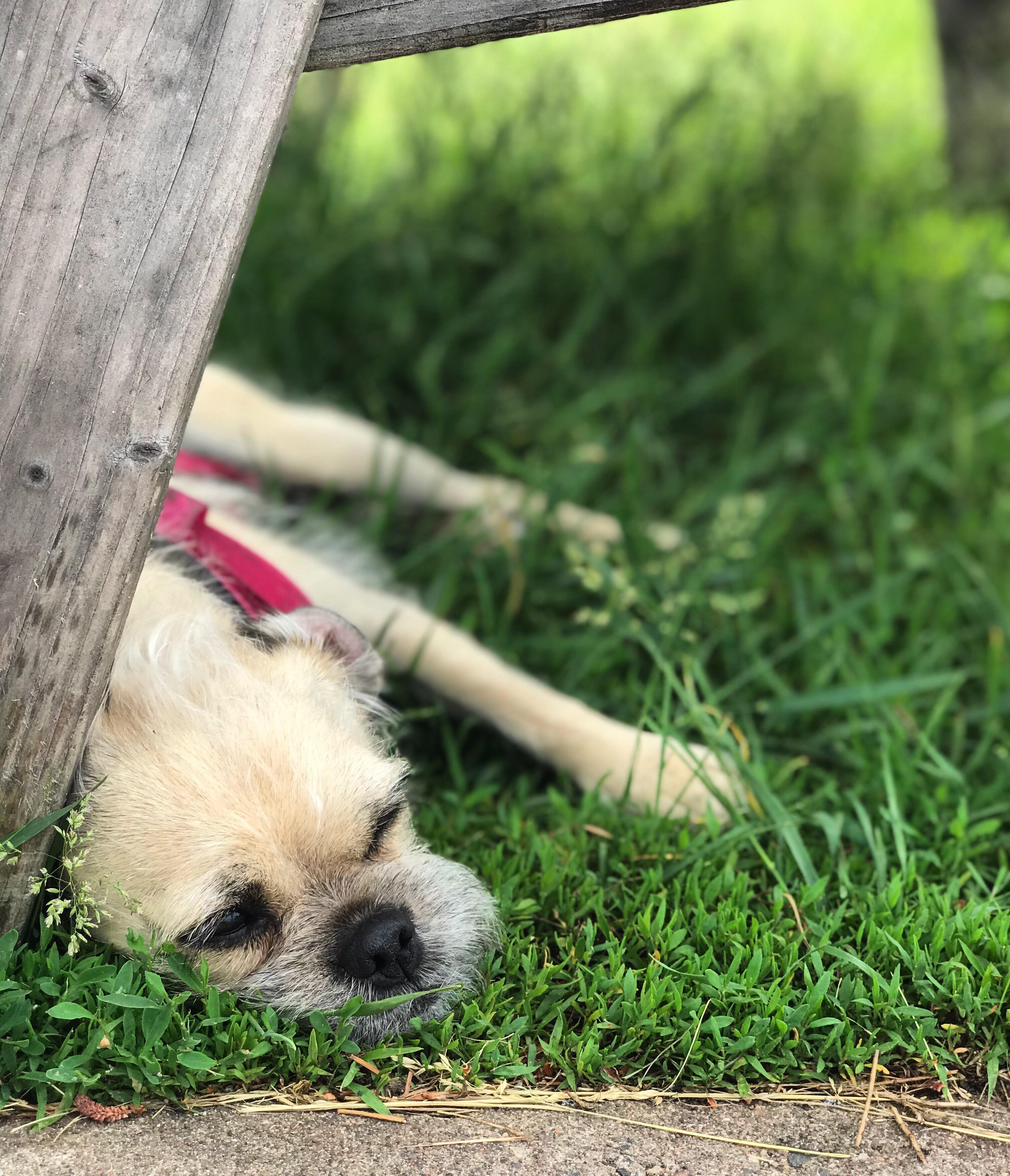 Lazy Saturday | Scrolller