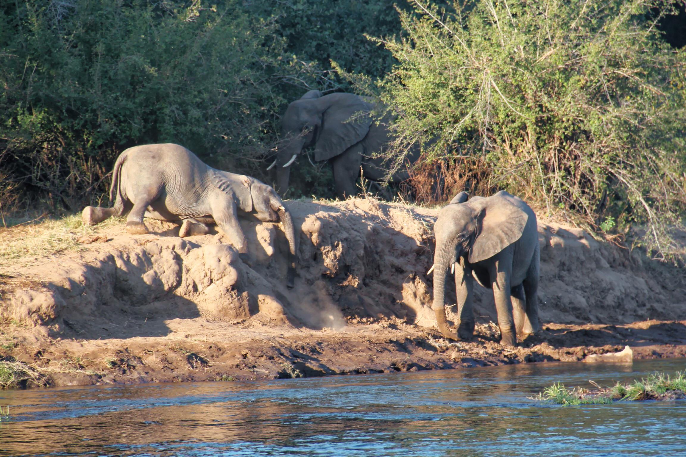 Lazy sunday by the river | Scrolller