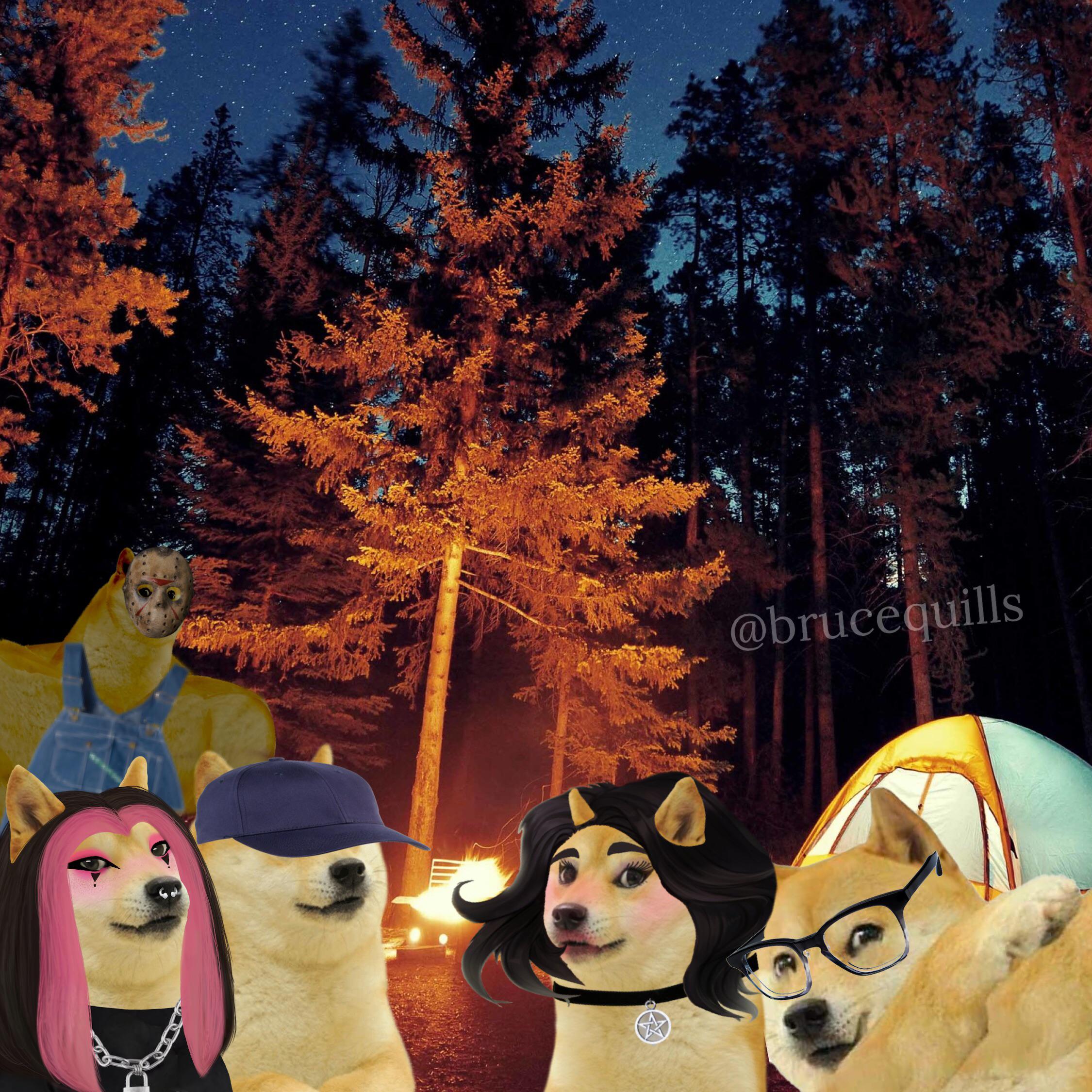 Le camping gone wrong | Scrolller