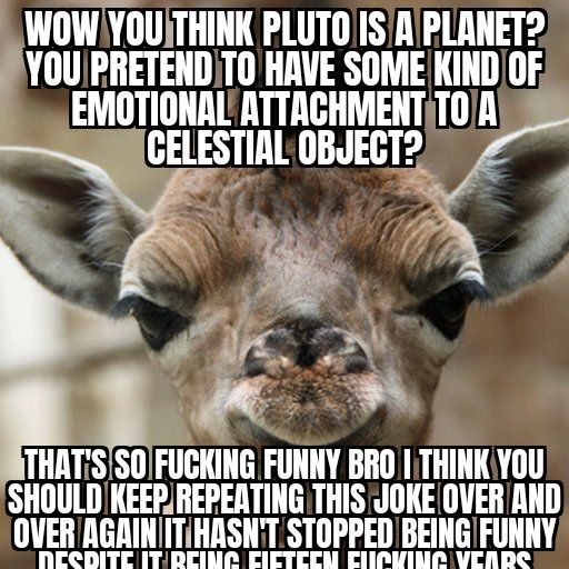 le epic funny joke has arrived | Scrolller