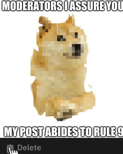 le rule 9 has definitely arrived | Scrolller