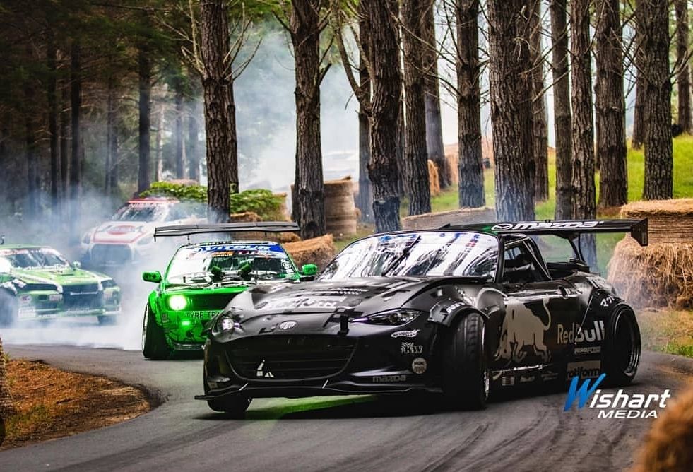 Leading the Pack | Scrolller