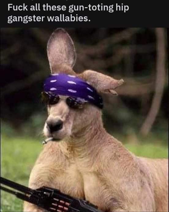 learn to hop | Scrolller