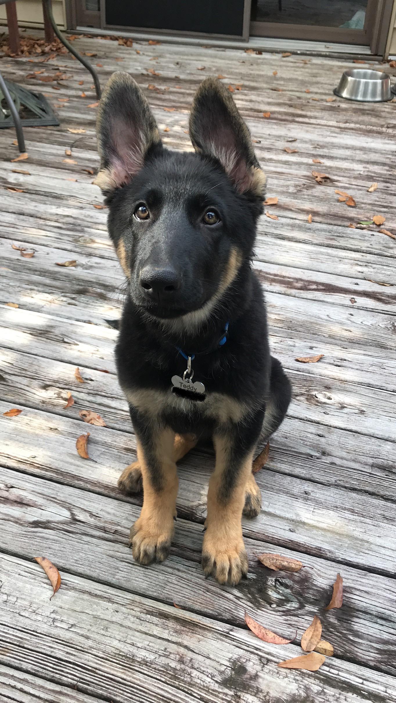 Learning how to sit... | Scrolller