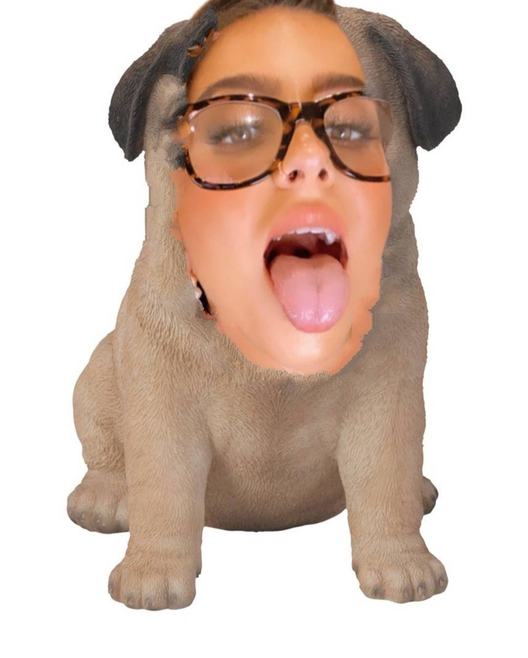 Lena_The_Pug | Scrolller