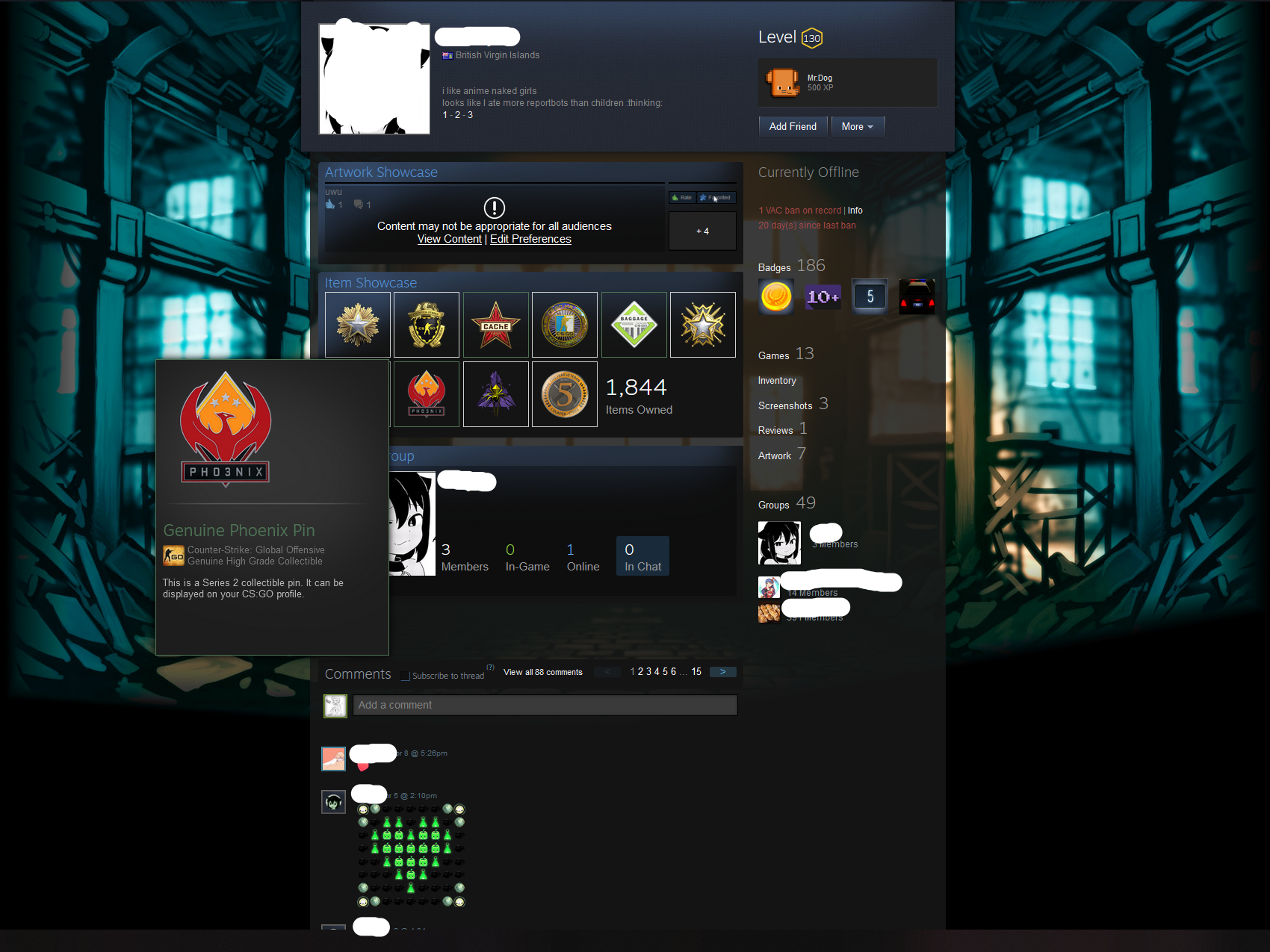Level 130 account with 3 genuine CSGO pins | Scrolller