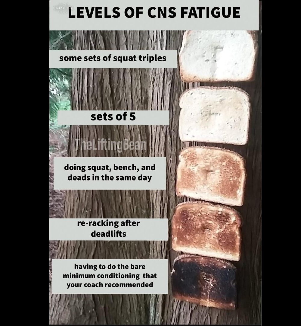 Levels of CNS fatigue *out of breath SpongeBob meme* | Scrolller