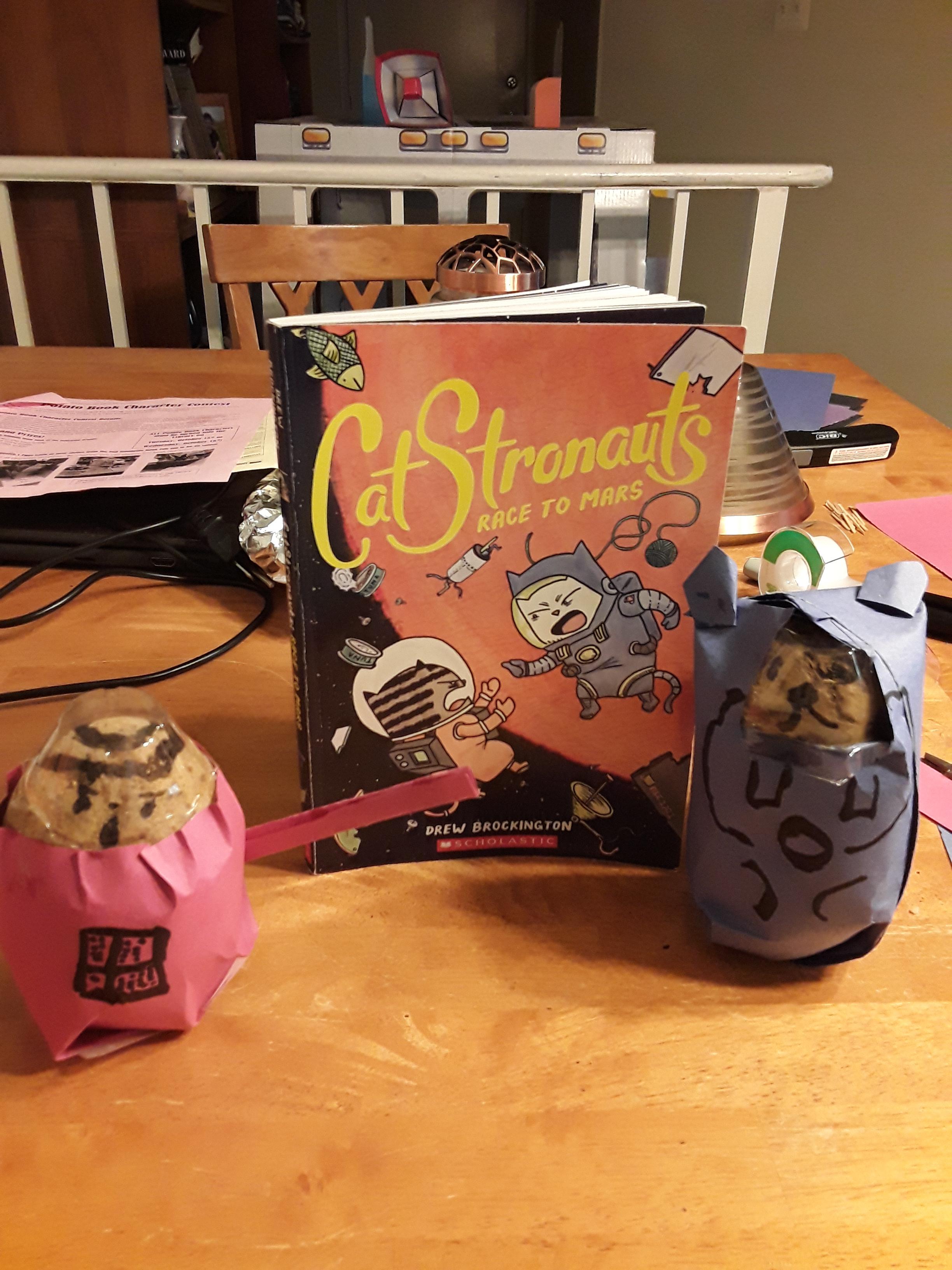 Library book character potato decorating contest. Nailed it! | Scrolller