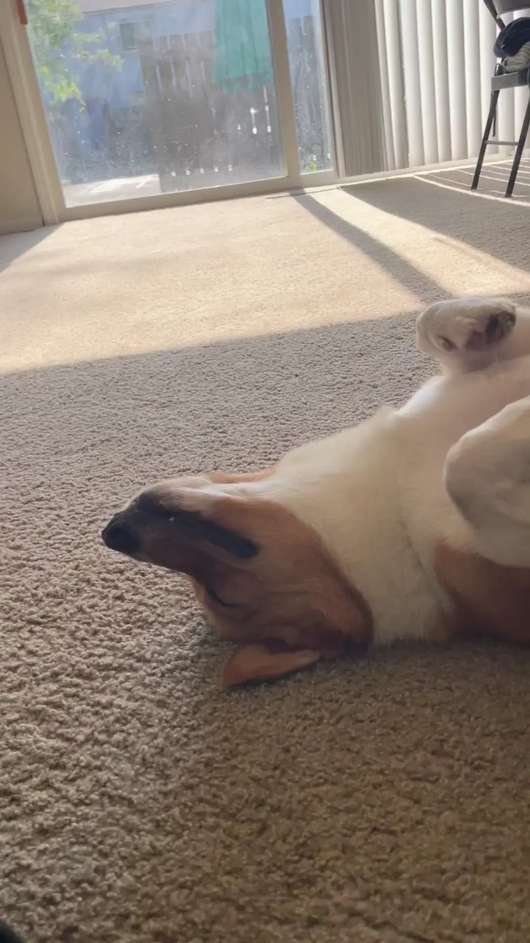 Life is simple | Scrolller