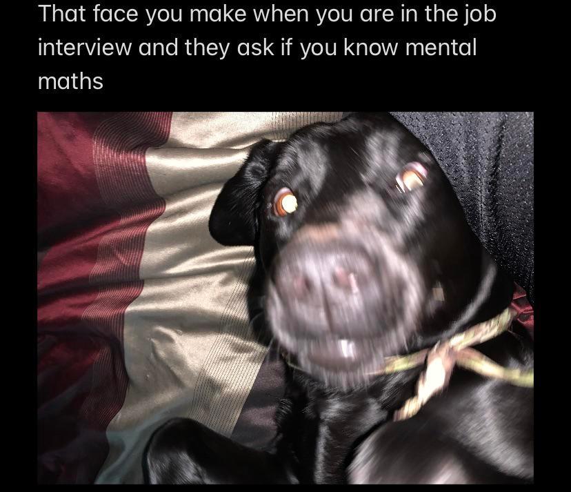 Like seriously tho | Scrolller