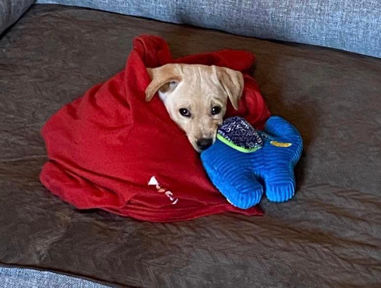 lil pup when she was probably like a month old | Scrolller