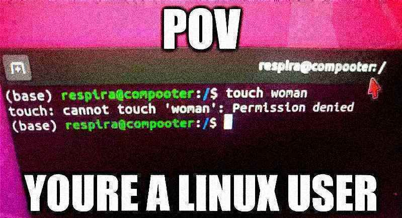 Linux users during NoNutNovember | Scrolller