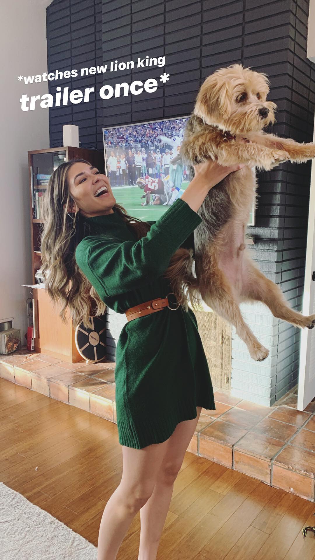 Lion King | Scrolller