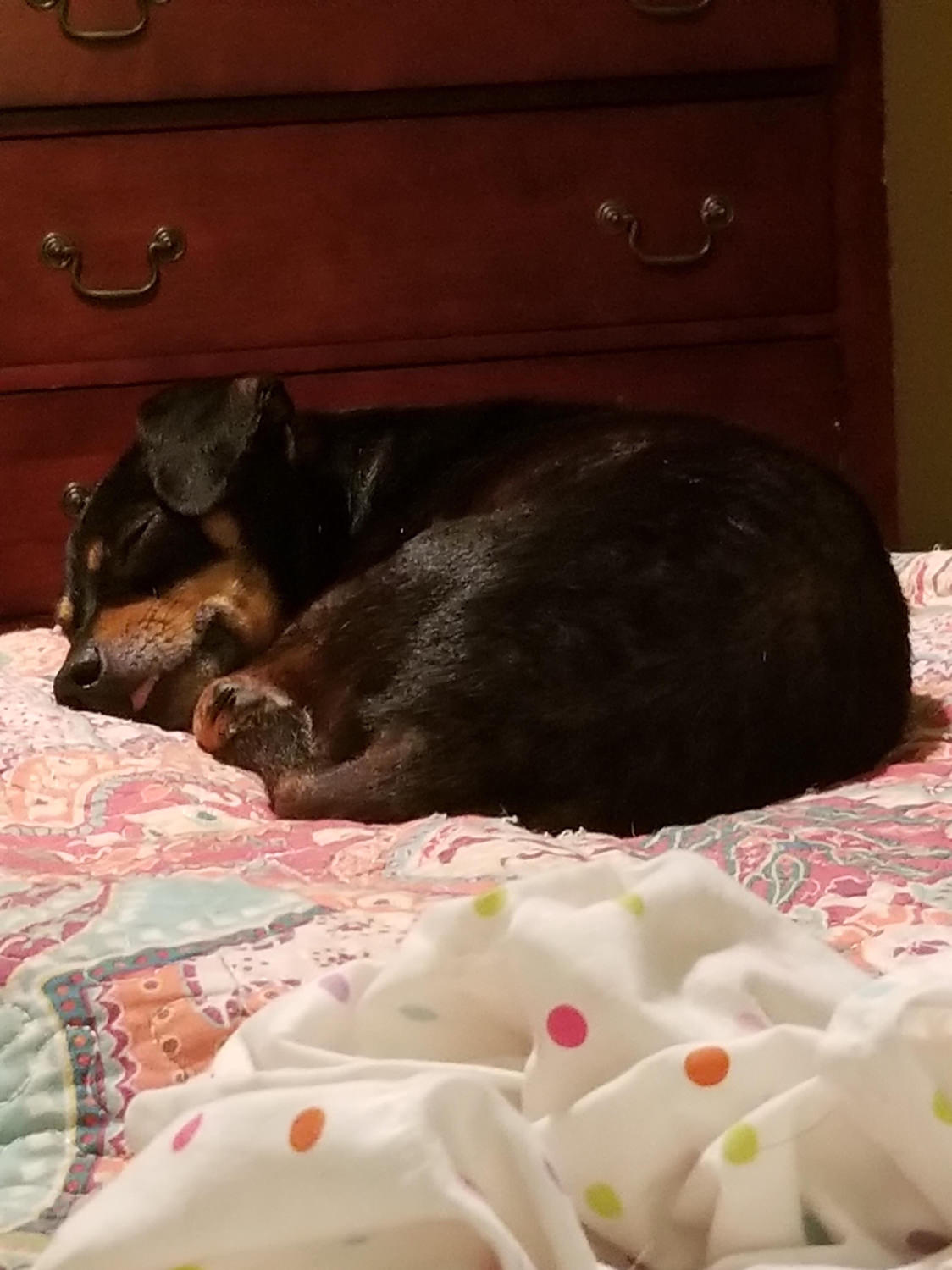 Literally dying from cuteness overload | Scrolller