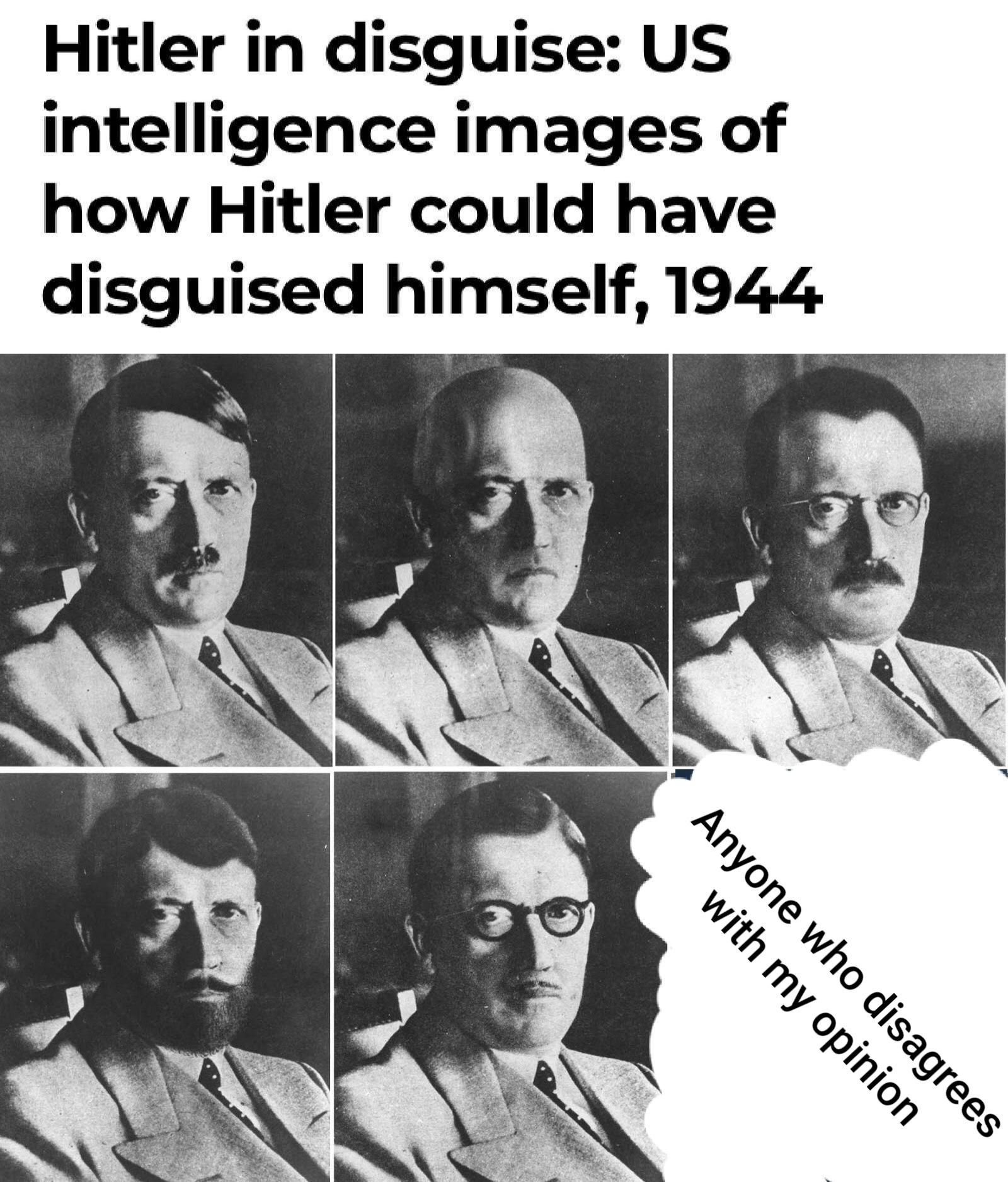 Literally Hitler | Scrolller