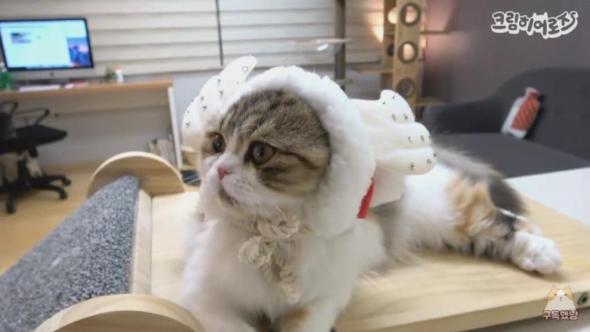 Little angel ChuChu | Scrolller